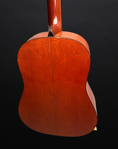 Martin Ditson Dreadnaught 111 Guitar – Guitar Gallery