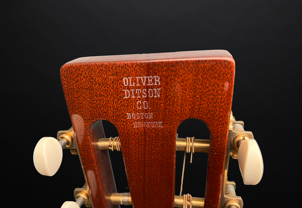 Martin Ditson Dreadnaught 111 Guitar – Guitar Gallery