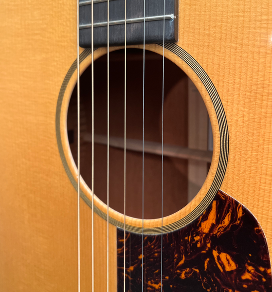 Martin Ditson Dreadnaught 111 Guitar – Guitar Gallery