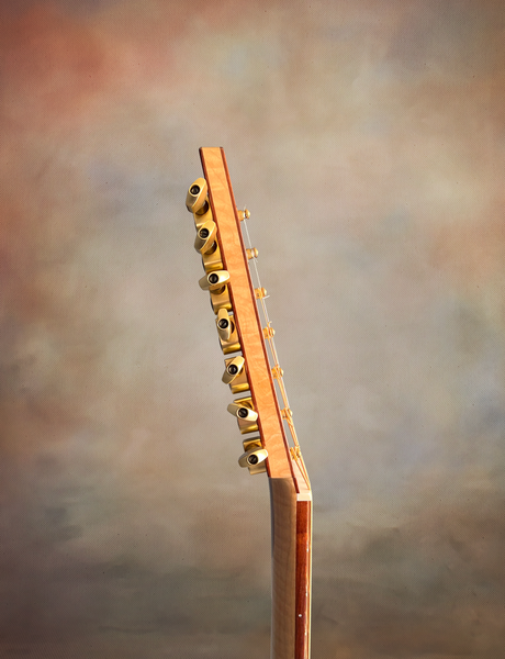 Ken Parker 7 string Acoustic Archtop – Guitar Gallery