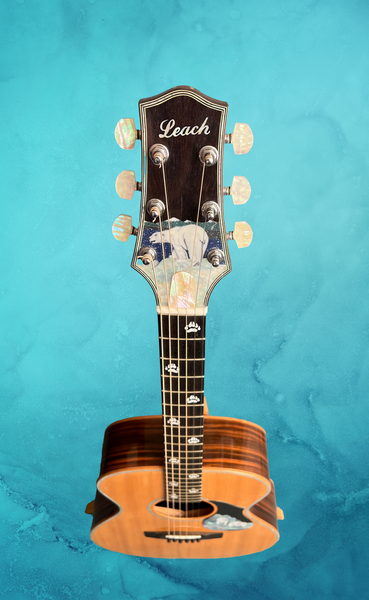 Harvey Leach 25th Anniversary Polar Bear Guitar – Guitar Gallery