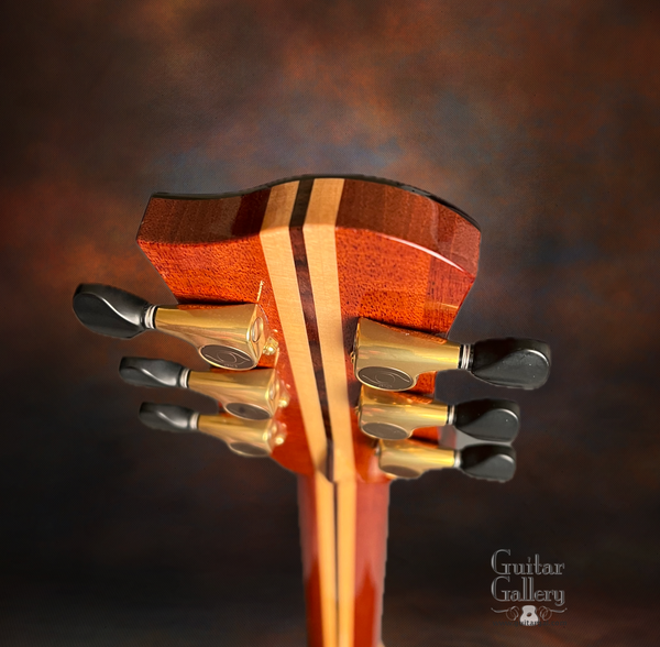 James Taylor Signature (Series 1) Olson Guitar – Guitar Gallery