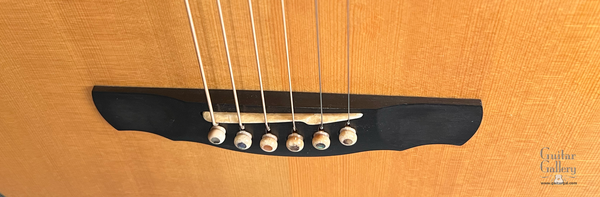 2009 Ryan Nightingale Grand Soloist Signature Guitar – Guitar Gallery