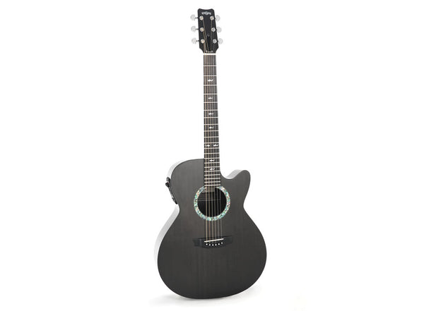 RainSong CO-WS1000 N2 Graphite Guitar – Guitar Gallery