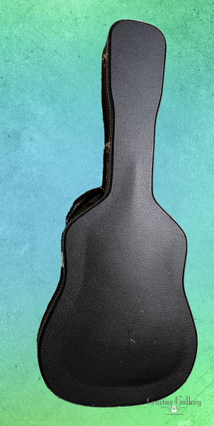 Toru Fujii Mod-D Guitar – Guitar Gallery