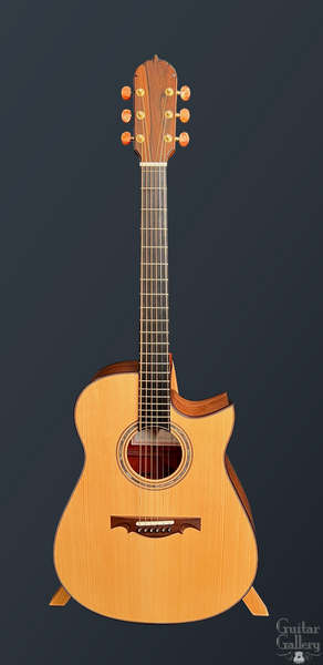 Toru Fujii Mod-D Guitar – Guitar Gallery