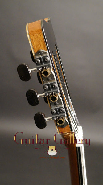 Greenfield C2 Nylon String Guitar – Guitar Gallery