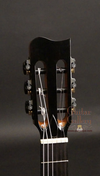 Greenfield C2 Nylon String Guitar – Guitar Gallery