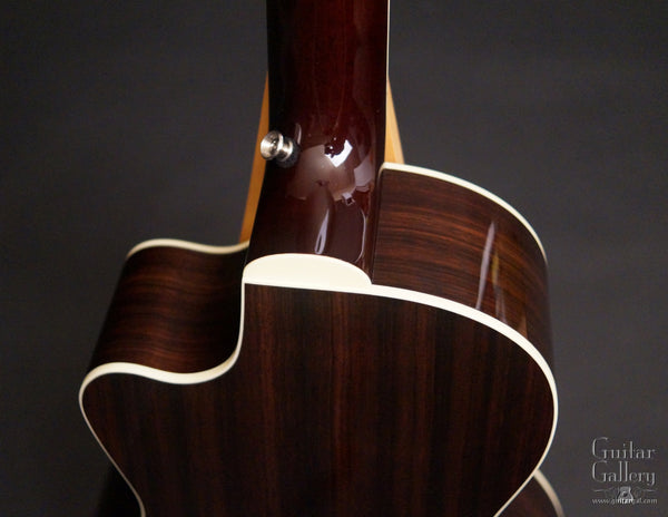 Santa Cruz Janis Ian Guitar – Guitar Gallery