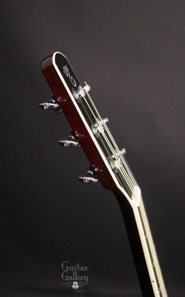 Santa Cruz Janis Ian Guitar – Guitar Gallery