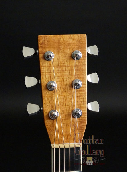 John David Scott OM – Guitar Gallery