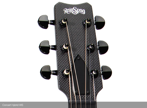 Rainsong CH-WS1000NS Guitar – Guitar Gallery