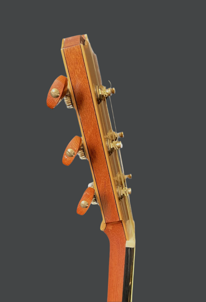 Turnstone TG Yew Guitar – Guitar Gallery