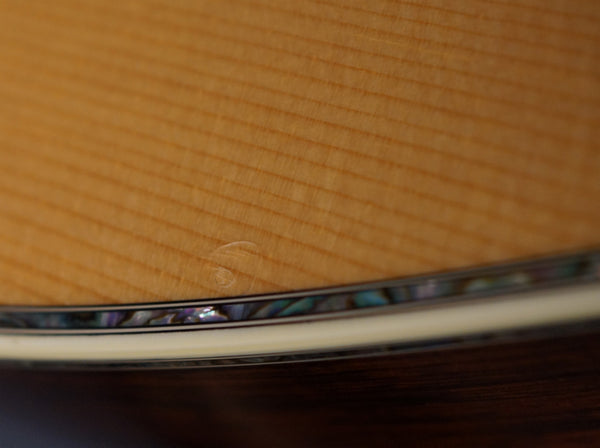 Taylor Brazilian Rosewood PS-10 Guitar – Guitar Gallery