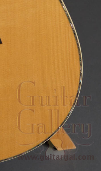 Taylor Brazilian Rosewood PS-10 Guitar – Guitar Gallery