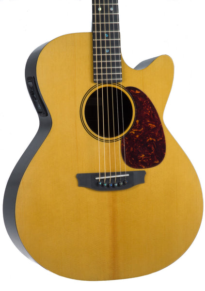 RainSong V-WS1000N2X SFT Guitar – Guitar Gallery