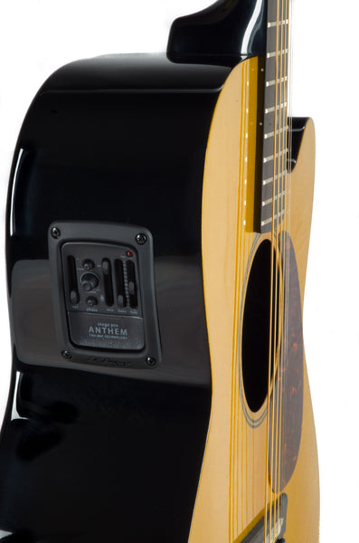 RainSong V-WS1000N2X SFT Guitar – Guitar Gallery