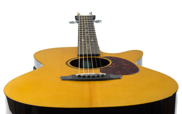 RainSong V-WS1000N2X SFT Guitar – Guitar Gallery