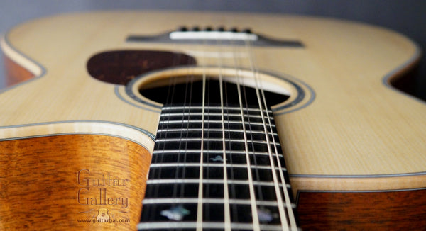 Froggy Bottom 12 String Guitar – Guitar Gallery