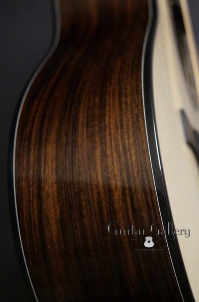 Greenfield GF Guitar – Guitar Gallery