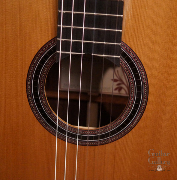 Kathy Wingert Classical Guitar – Guitar Gallery