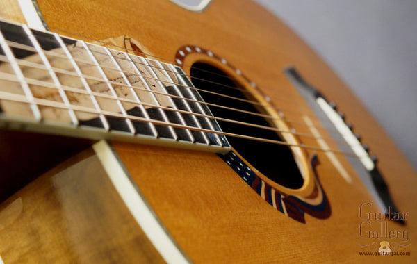 Taylor Liberty Tree Limited Edition Guitar – Guitar Gallery