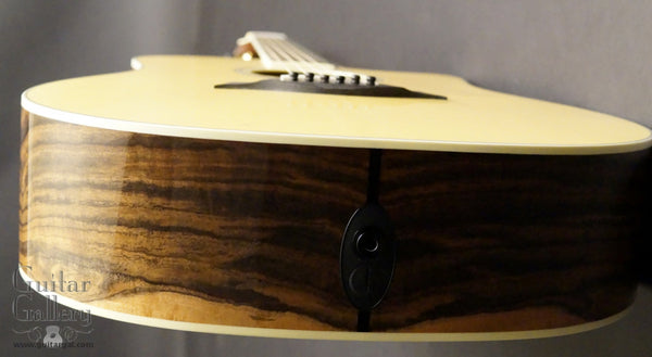 Taylor W-10ce Guitar – Guitar Gallery